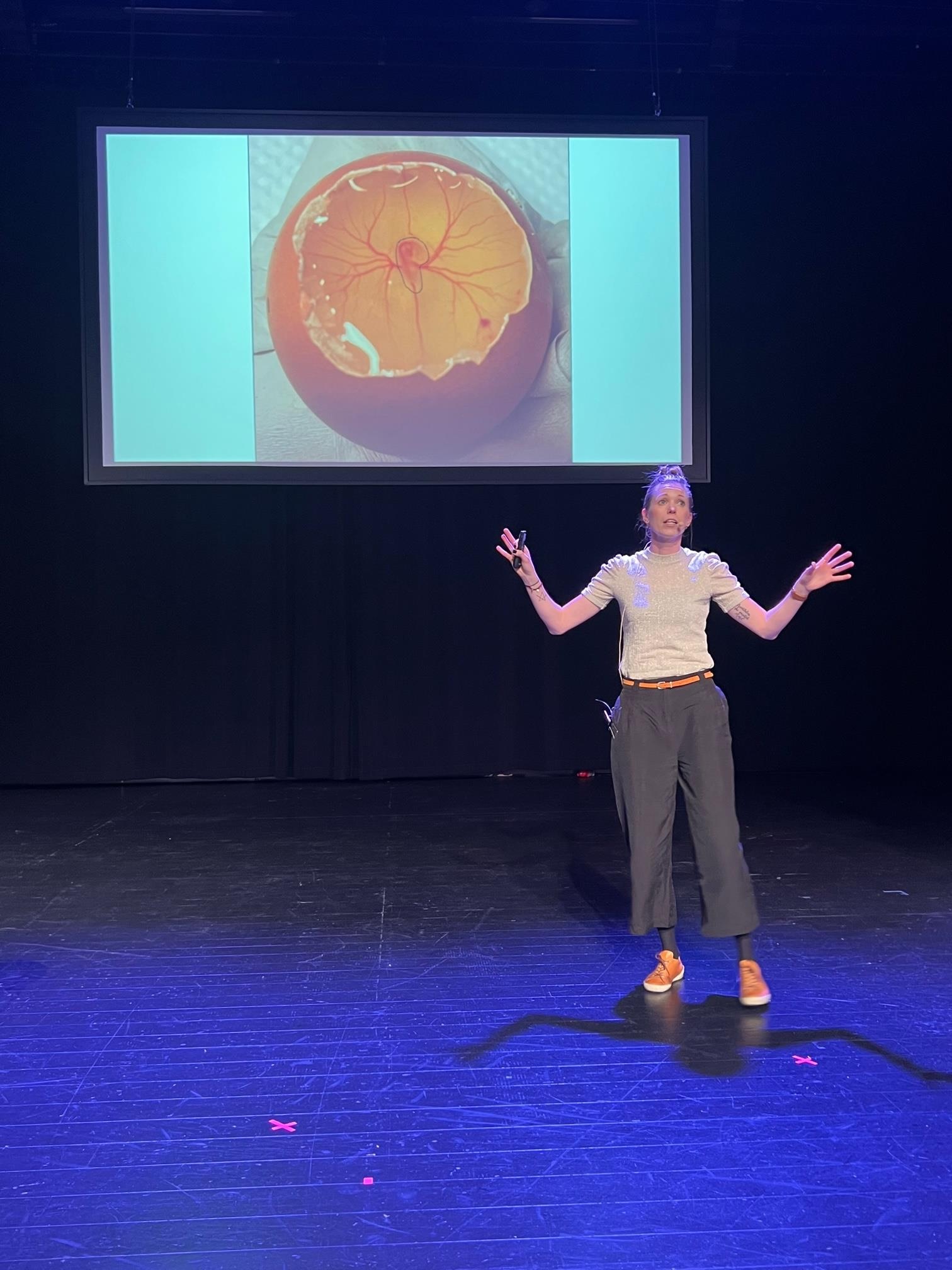 Sofie wins the Researchers Grand Prix! – Tissue Development and Evolution